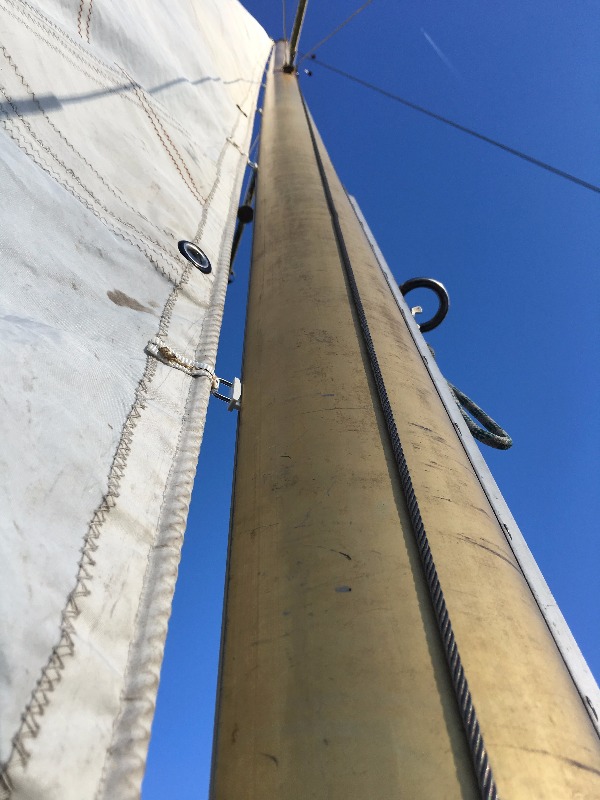 Converting boltrope sail to slugs sliders – Edelvoilier